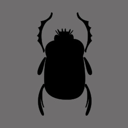 bug – Degesch America – Stored Product Pest Control