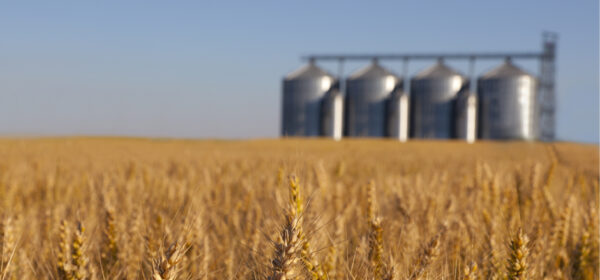 FUMIGANTS – Degesch America – Stored Product Pest Control