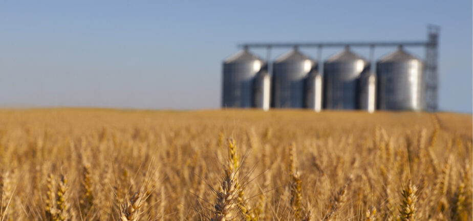 FUMIGANTS – Degesch America – Stored Product Pest Control