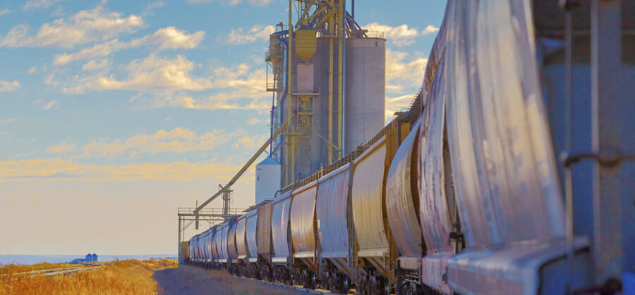 LITERATURE – Degesch America – Stored Product Pest Control