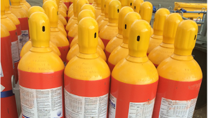 FUMIGANTS – Degesch America – Stored Product Pest Control